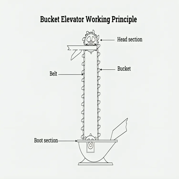 Bucket Elevators Manufacturer and Suppliers In India | ipmagnate